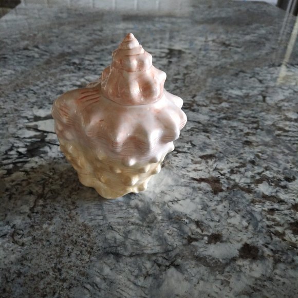 Dining | Ceramic Seashell Tea Set W Teapot Creamer Sugar | Poshmark